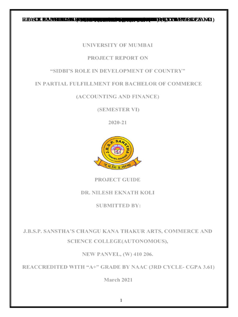 Kaushal Salvi Project | PDF | Small And Medium Sized Enterprises | Loans