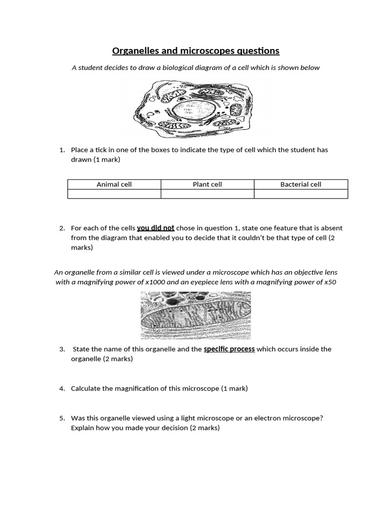 Organelles-and-microscopes-questions | PDF