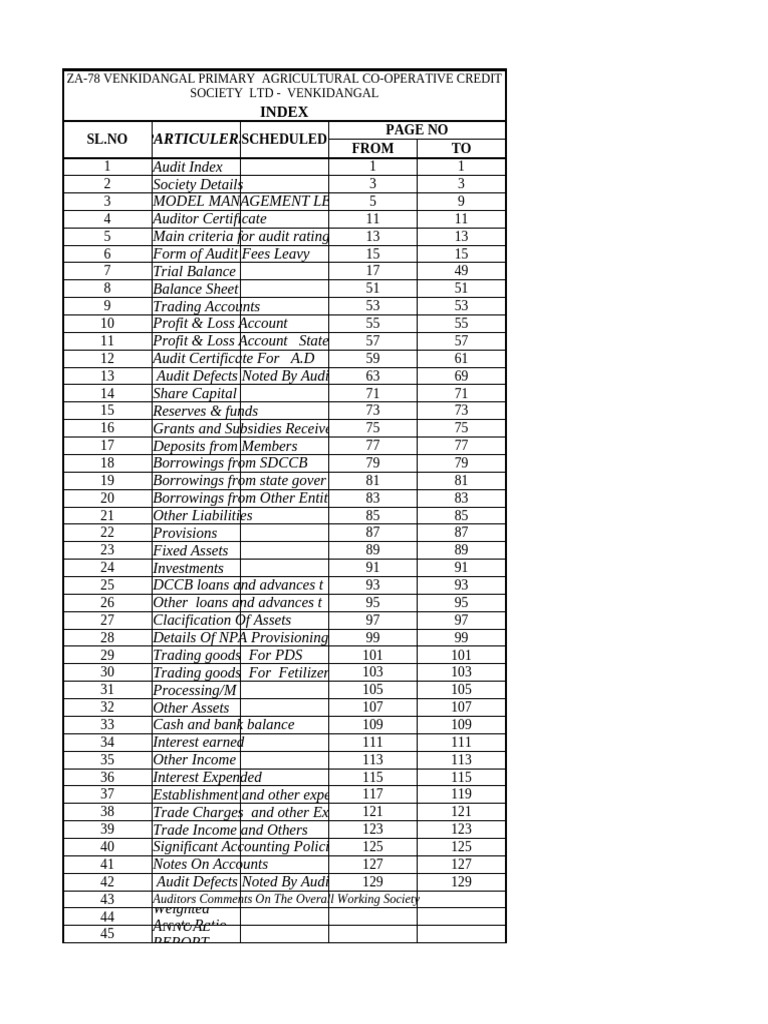 NABARD Balance Sheet Audit Report | PDF | Audit | Financial Audit