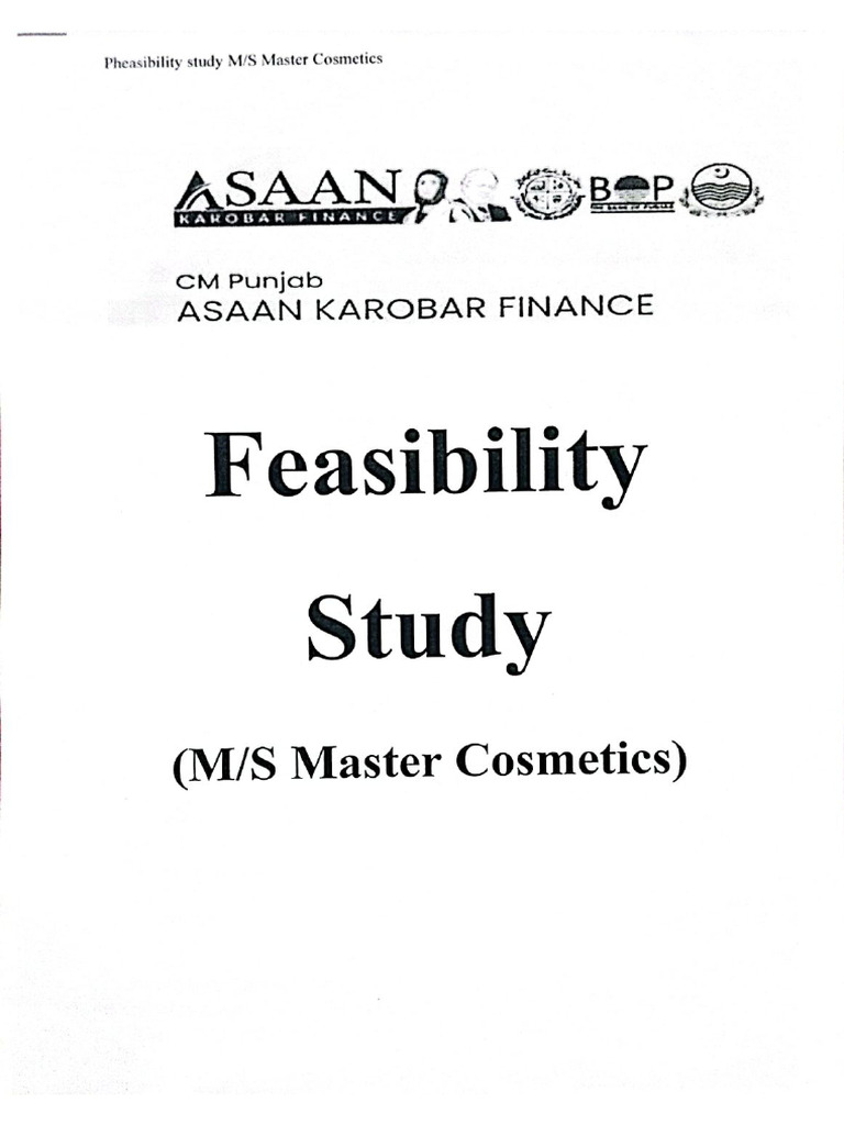 Feasibility Report | PDF