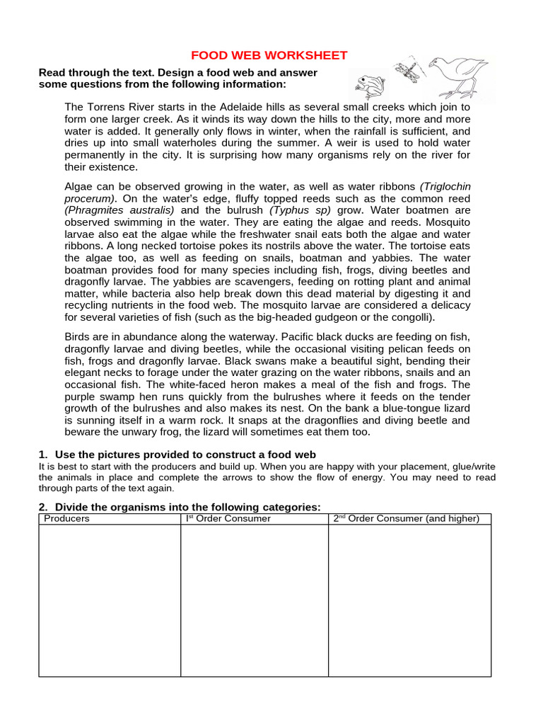 Food Webs Wetlands-Activity | PDF | Food Web | Foods