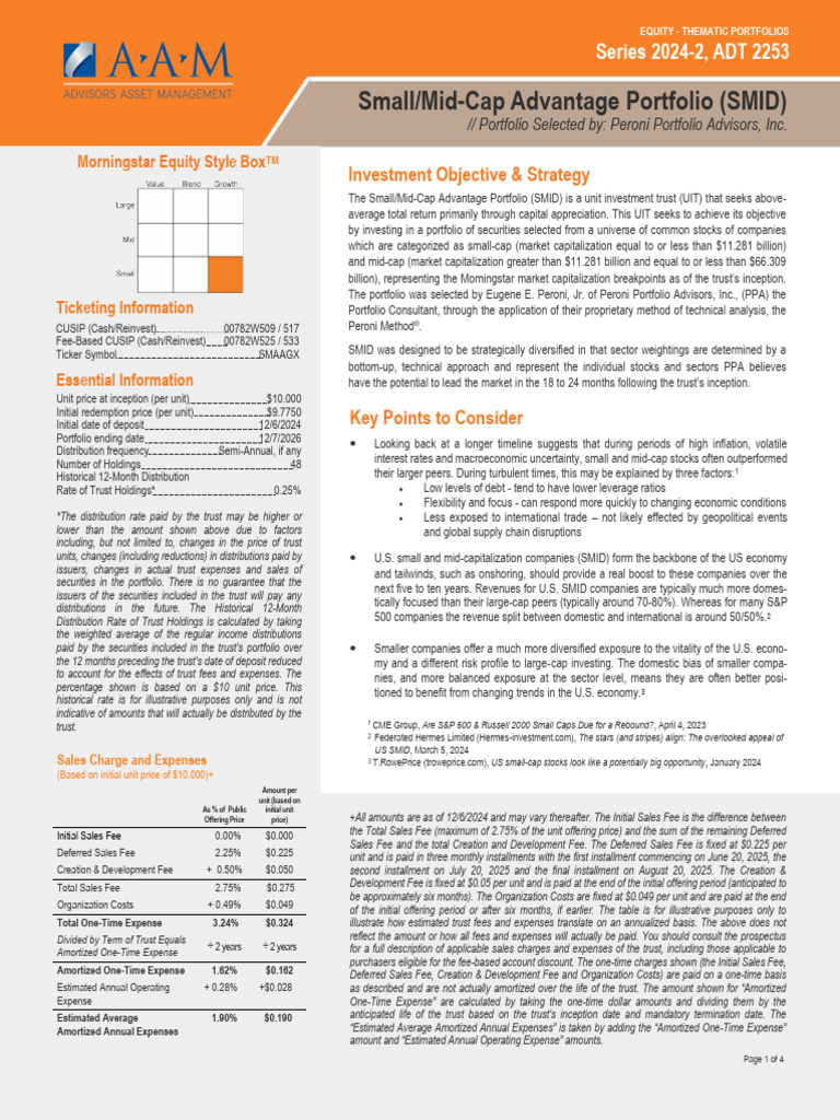 Small/Mid-Cap Advantage - S2024-2 | PDF | Investing | Stocks