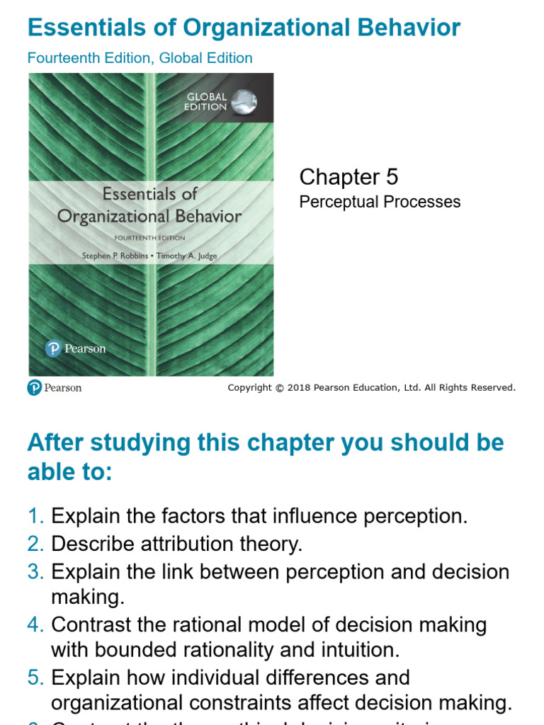 941320429-Robbins Eob14e ppt05 | PDF | Perception | Decision Making