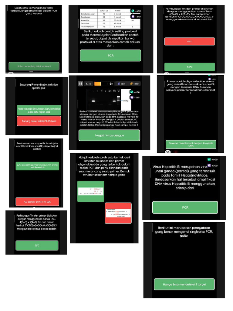 Gabungan Uts Dan Uas Teori Diamol 1 | PDF