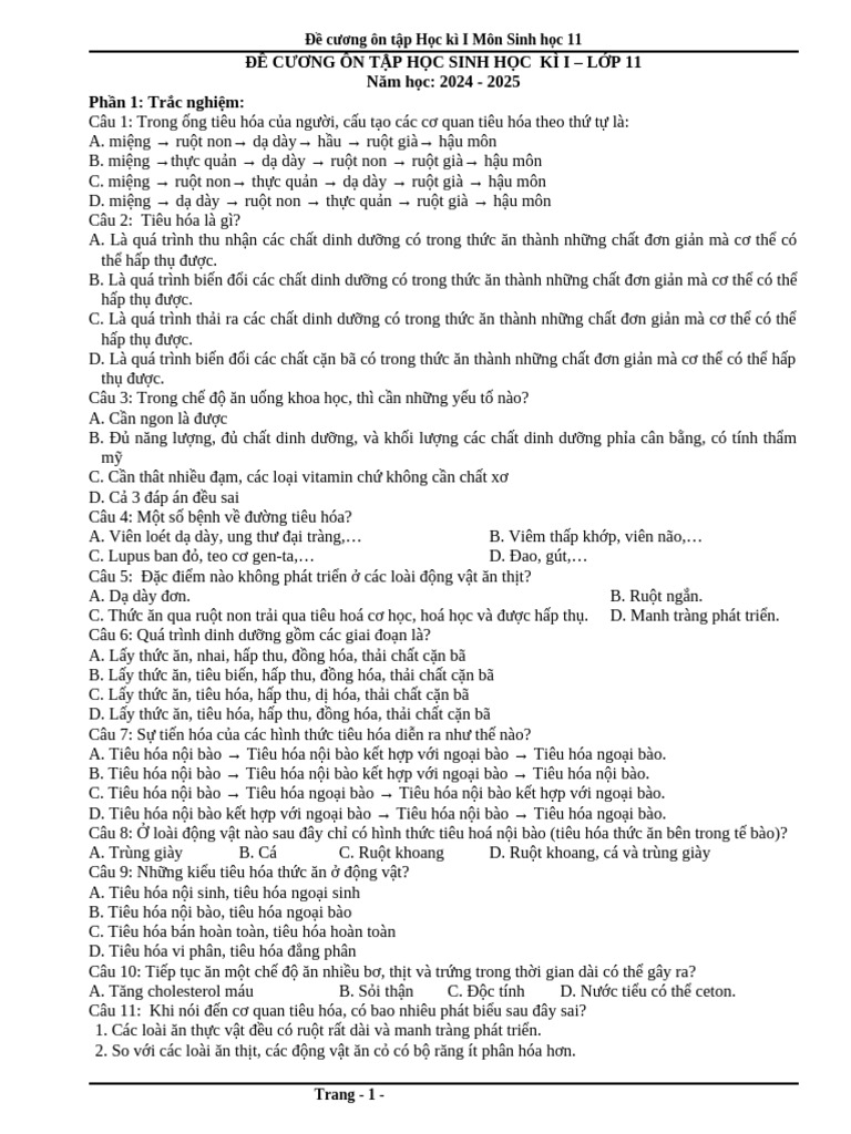 De Cuong Sinh 11 HKI 2024 | PDF