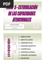 Escala de Pfeiffer: Cuestionario SPMSQ | PDF