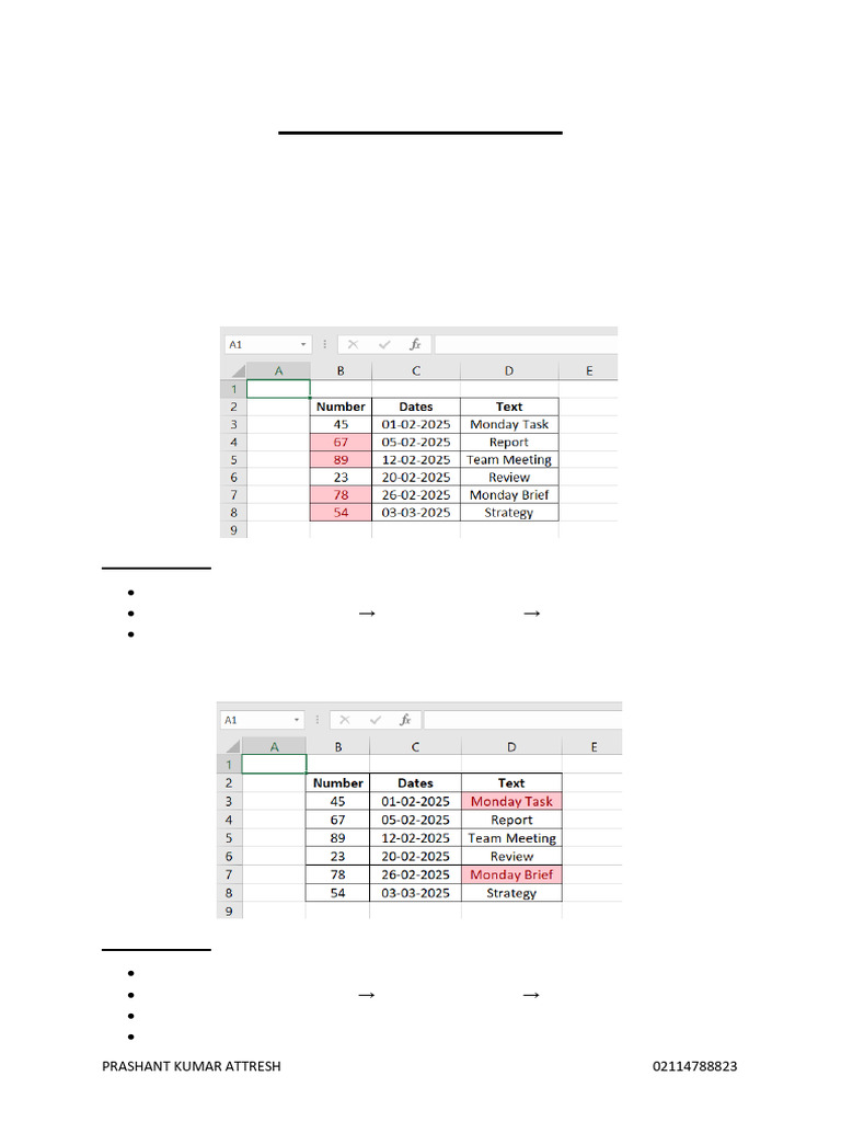 Assingment - 4: Conditional Formatting | PDF