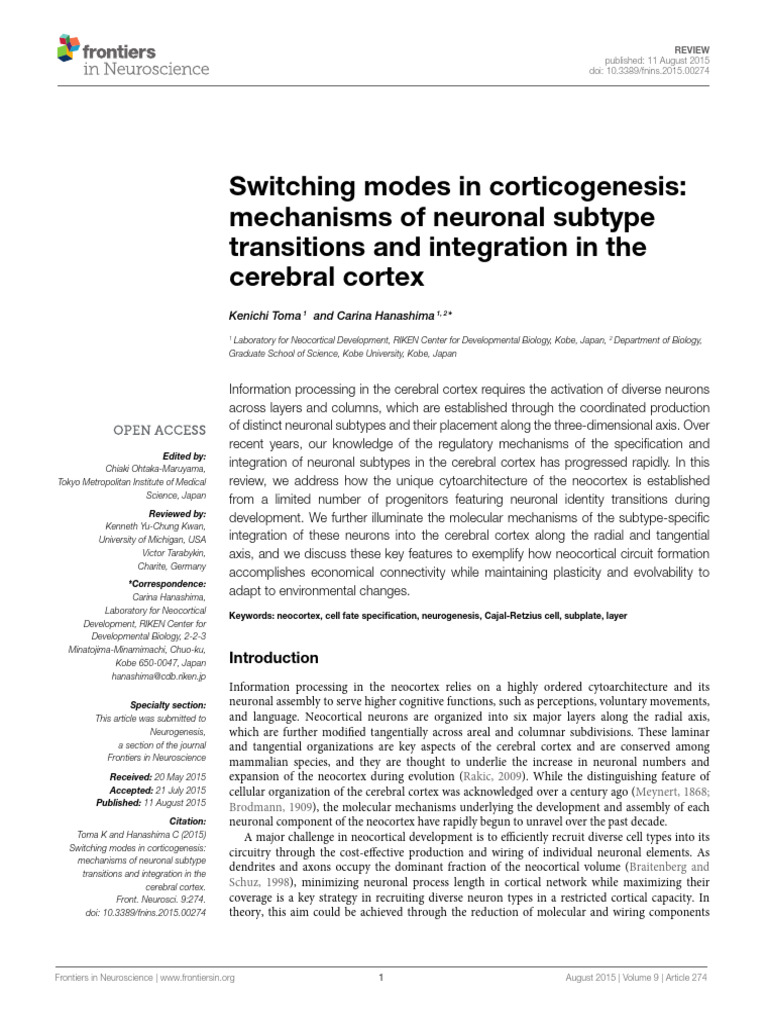 Switching Modes in Corticogenesis Mechanisms of Neuronal Subtype Transitions and Integration in ...