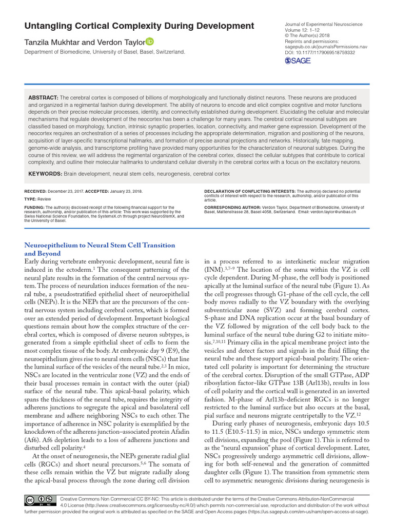 Untangling Cortical Complexity During Development | PDF | Cerebral ...