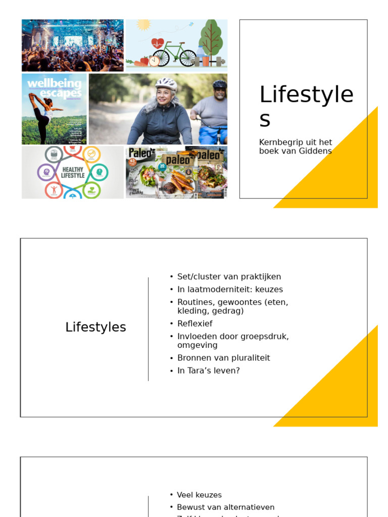 Referaat Lifestyles Powerpoint | PDF