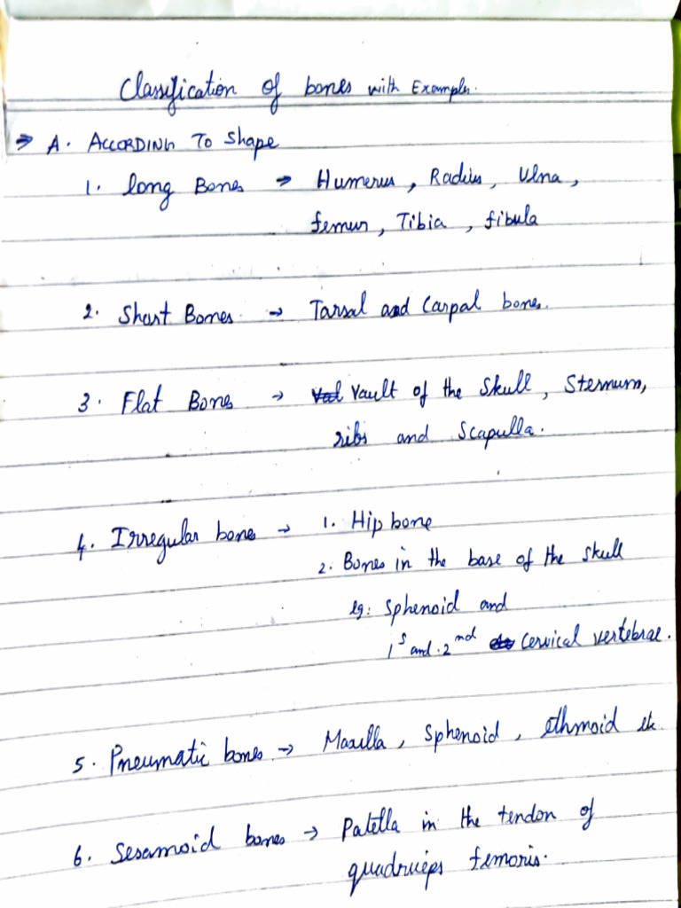 bones classification examples | PDF