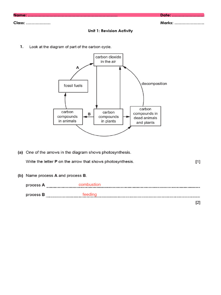 Unit 1: Environmental Science Revision | PDF