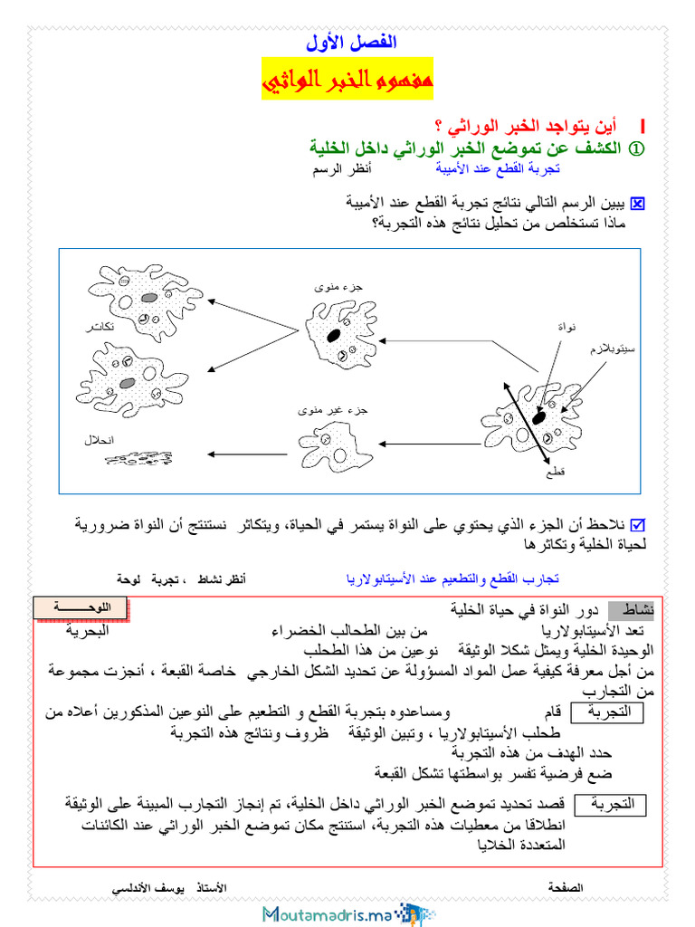 Cours SM 1bac 4 | PDF