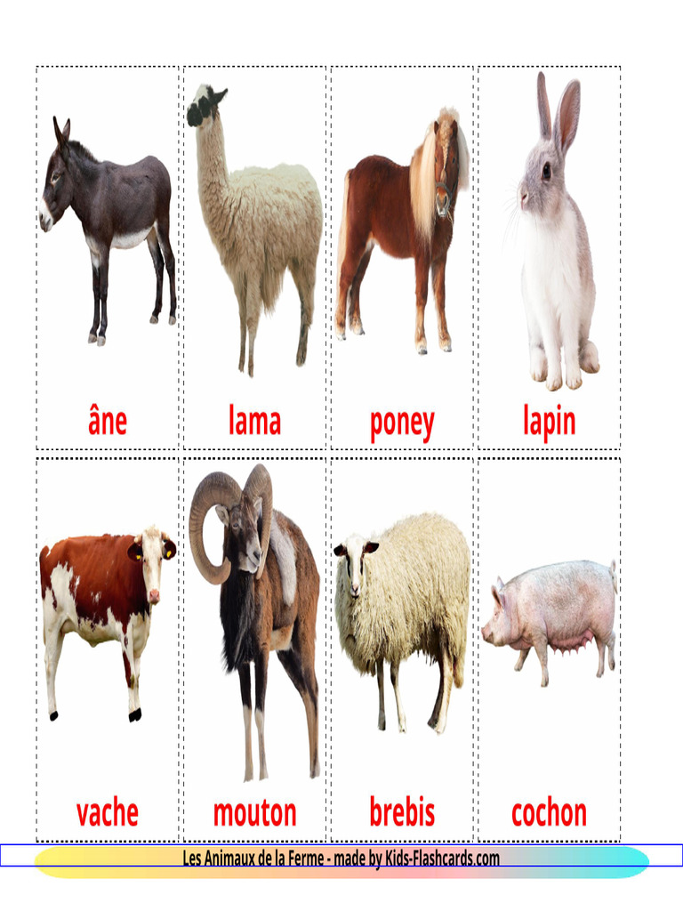 Les Animaux de La Ferme 8 A4 | PDF
