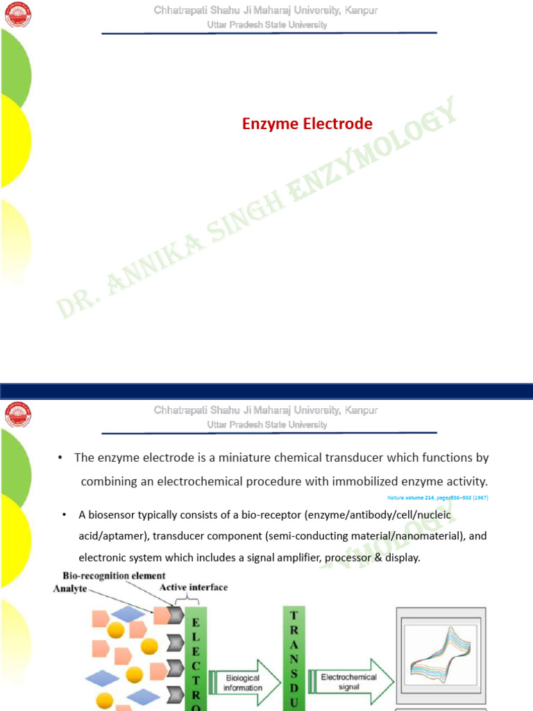 Enzyme Electrode and Site Directed Mutagenesis 1 | PDF | Biosensor ...
