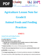 Understanding Concentrate Feeds in Livestock | PDF | Animal Feed | Cereals