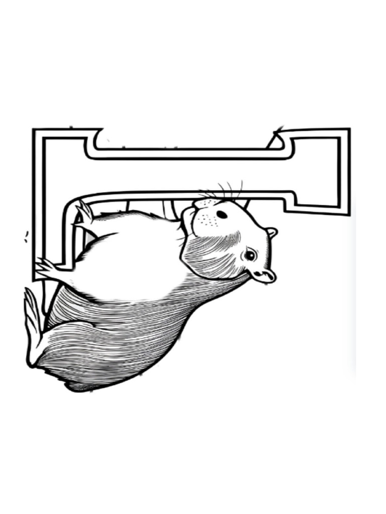 capybara welcome | PDF