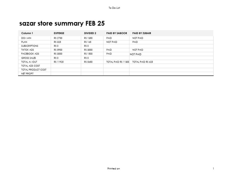 Sazar Store Summary Feb | PDF