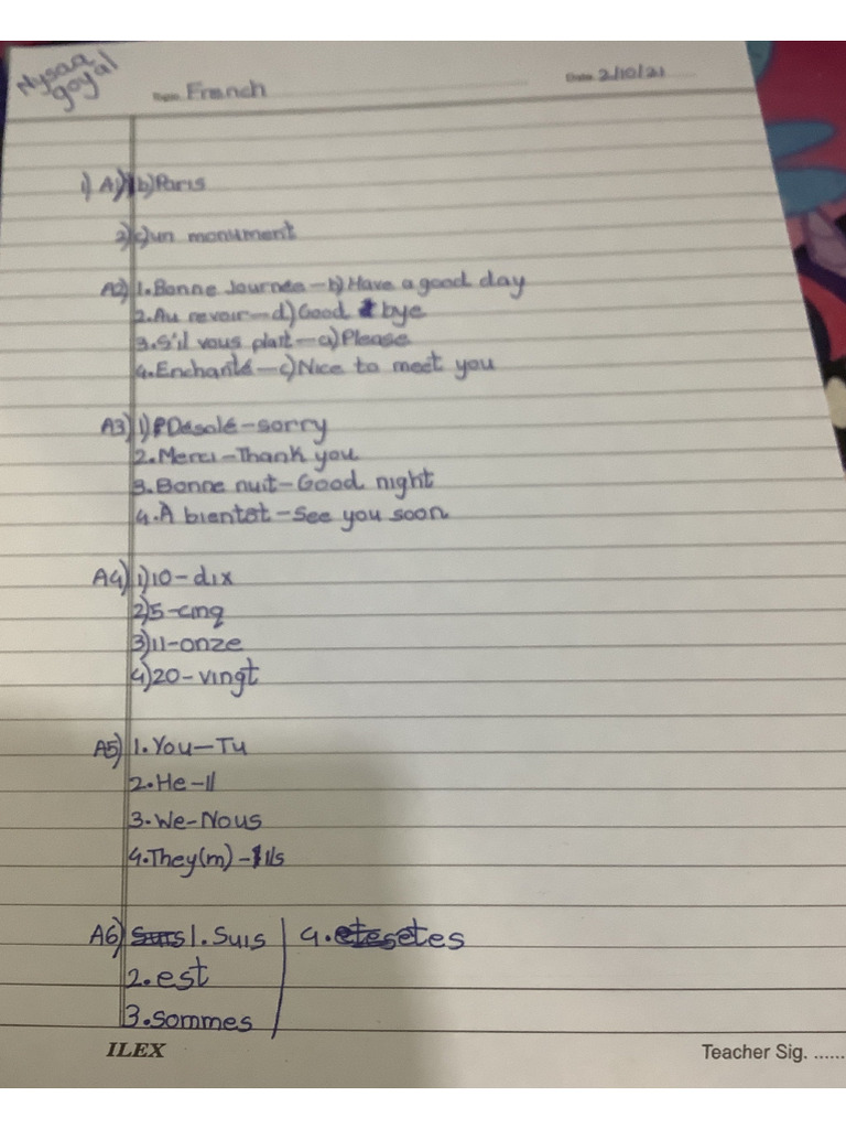 Nysaa Goyal-French Checkpoint | PDF