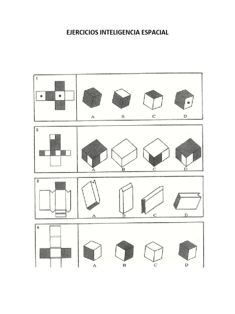 Ejercicios Inteligencia Espacial | PDF