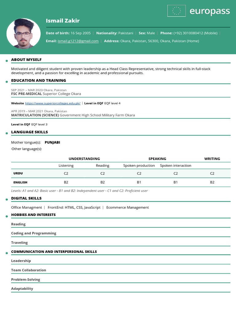 Job CV | PDF