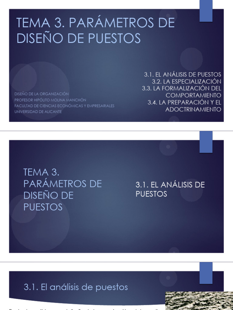 Parámetros Clave en Diseño de Puestos | PDF | Cuestionario | Diseño