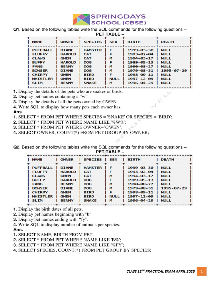 Ip Practical Exam April 2025 | PDF