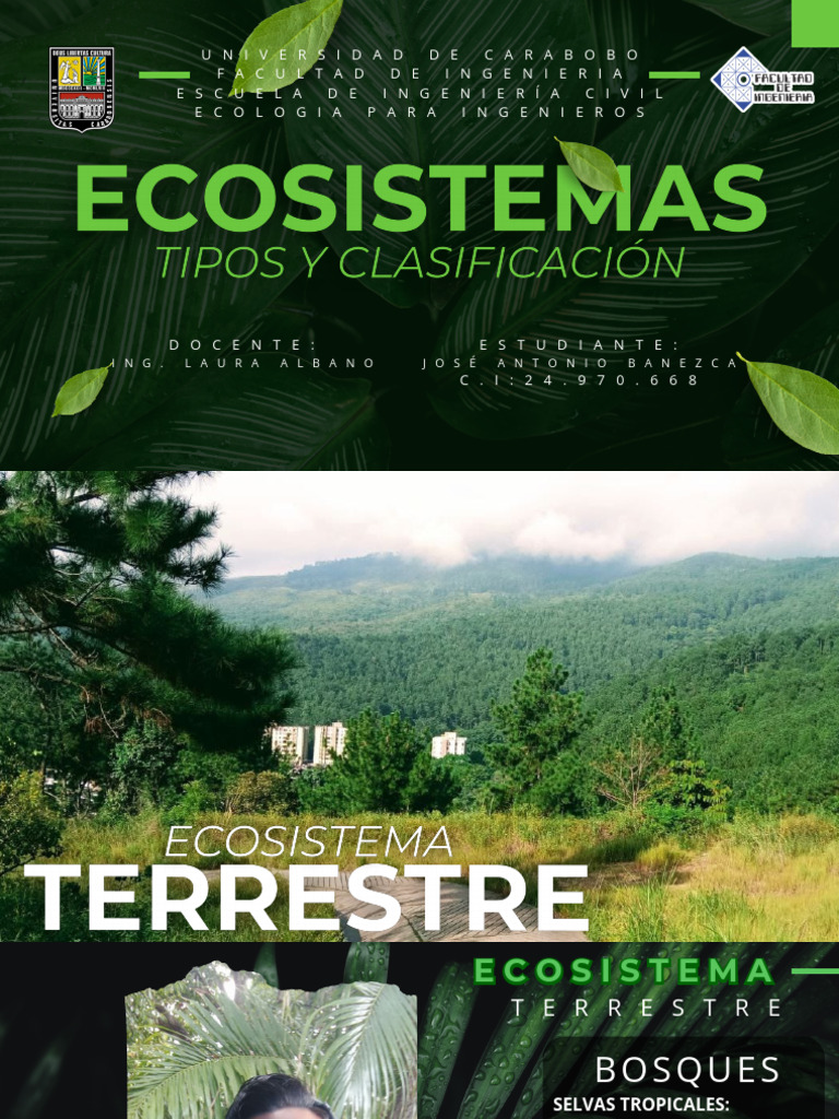 ECOSISTEMAS | PDF | Ecosistema | Arboles
