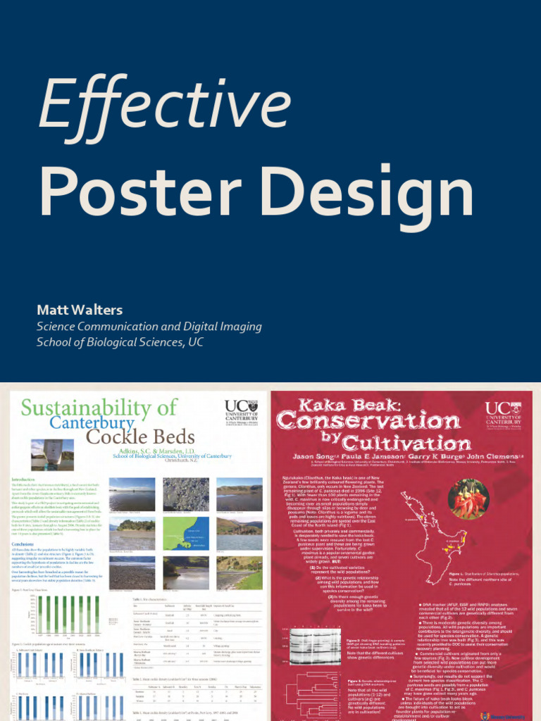 Effective Poster Design MW 13 Web | PDF | Page Layout | Graphic Design