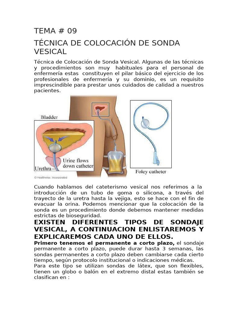 TEMA #09 COLOCACION DE SONDA FOLEY | PDF | Medicina CLINICA | Especialidades Medicas