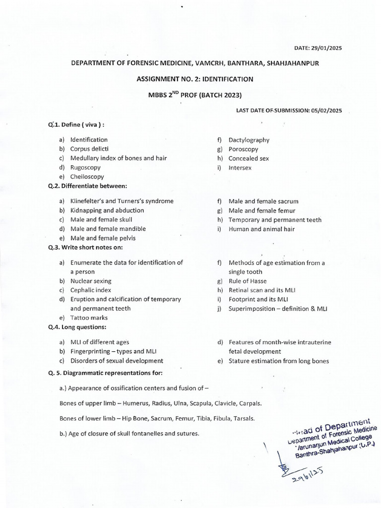 Assignement Batch 2023 Identification | PDF