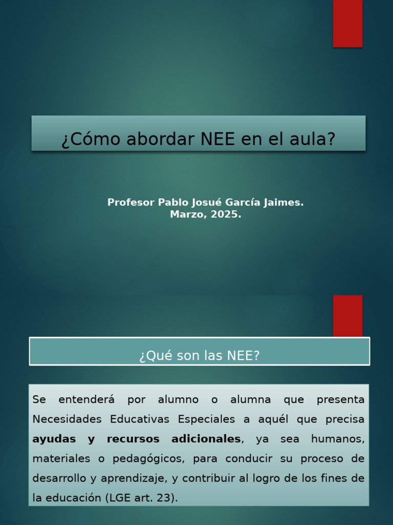 Estrategias Abordar Nee en El Aula | PDF | Aprendizaje | Evaluación