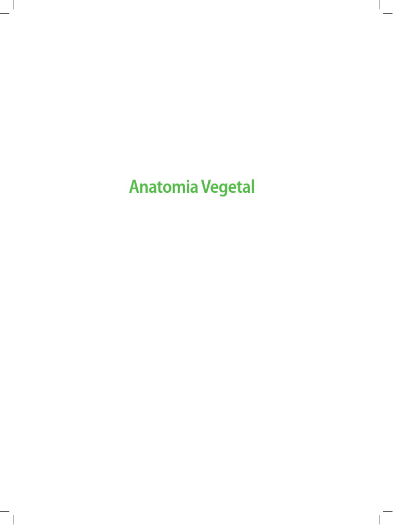 Anatomia Vegetal | PDF | Parede celular | Cloroplastos