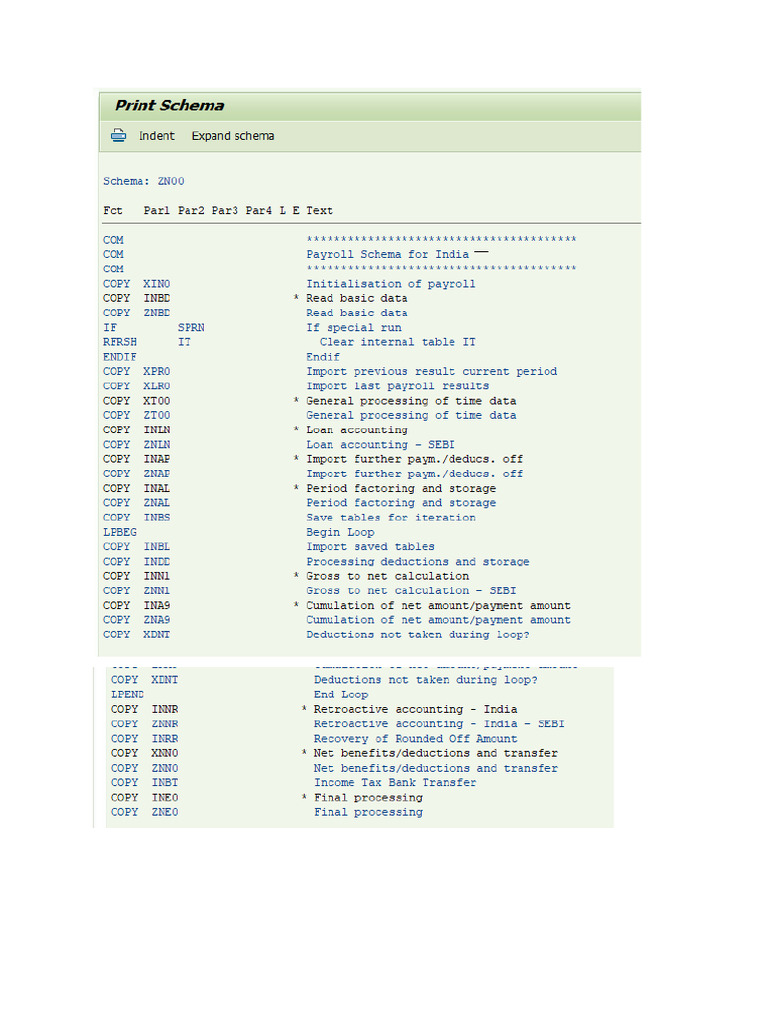 PCR and Schema Payroll | PDF