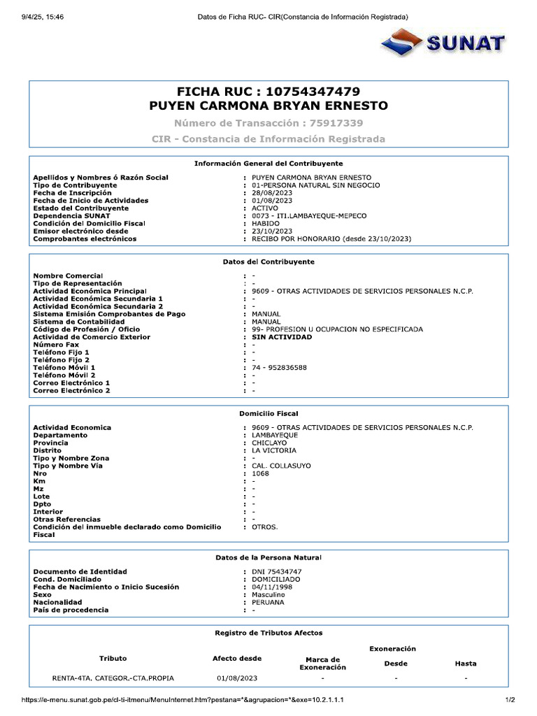 BRYAN SUNAT - Menú SOL | PDF