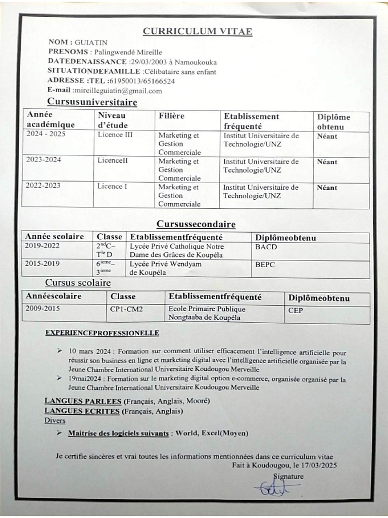 CV Mimi À Jour - 044138 | PDF