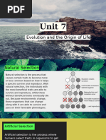 Grade 12 Evolution Notes (CAPS) | PDF | Homo | Evolution