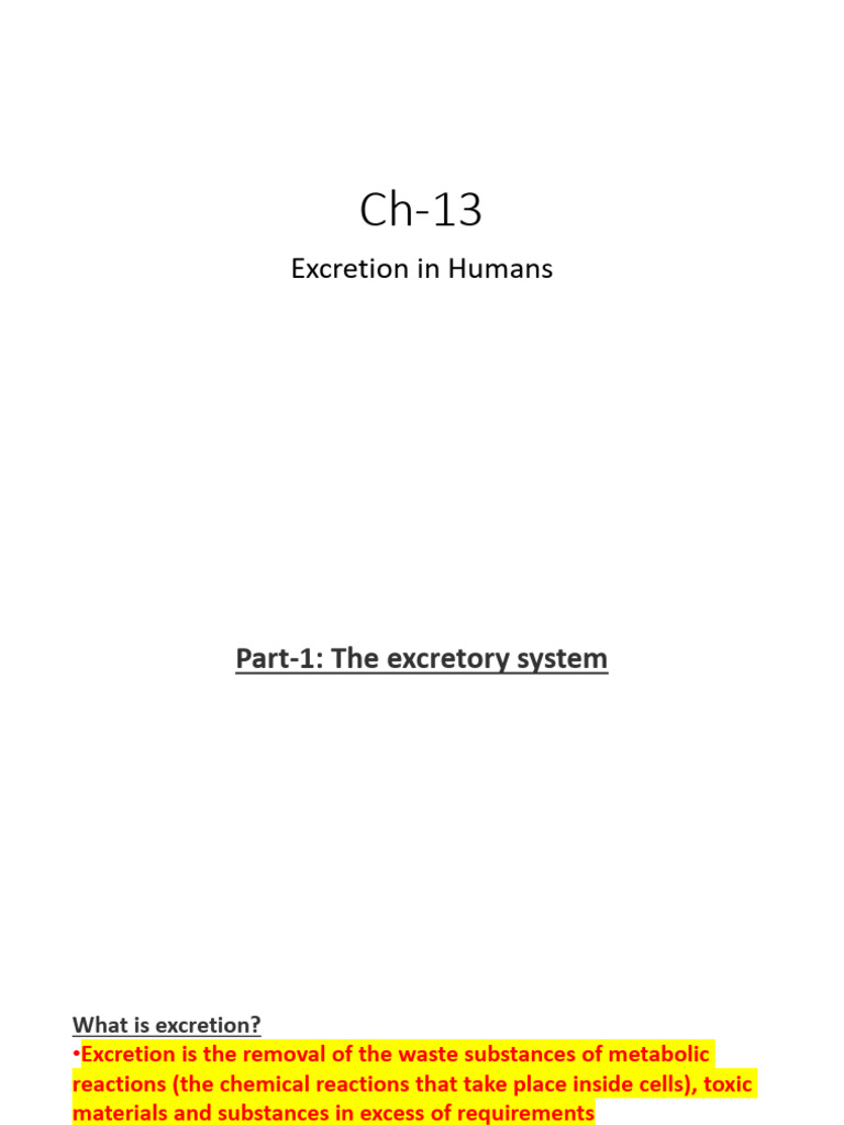 Ch-13 - Excretion in Humans - Pt. 1 & 2 | PDF | Kidney | Abdomen