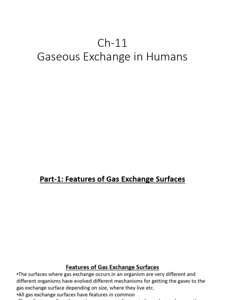 Gas Exchange Features in Humans | PDF | Breathing | Respiratory System