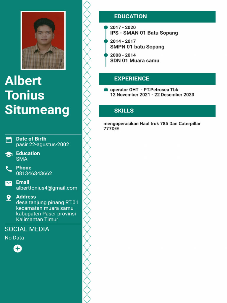CV Albert 2.0 | PDF