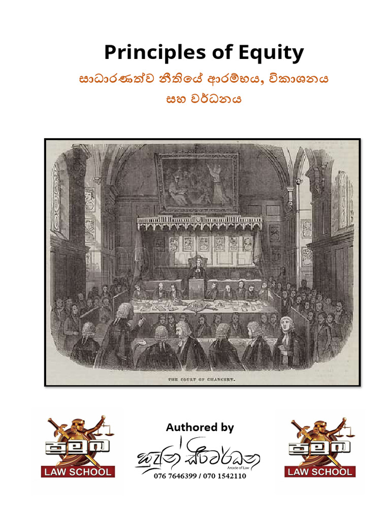 Introduction To Equity | PDF