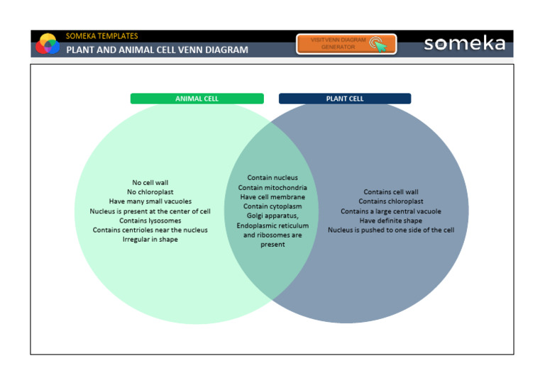 Plant and Animal Cell Venn Diagram Someka Example PDF V1 | PDF