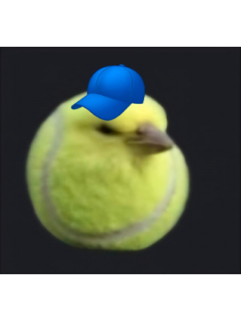 Image To PDF 20250412 21.11.20 | PDF