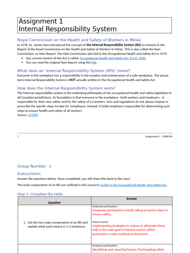 Understanding the Internal Responsibility System | PDF | Occupational ...