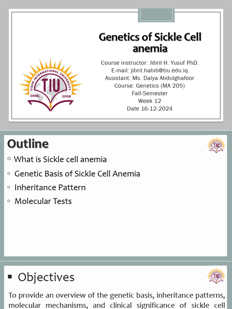 Genetics of Sickle Cell Anemia Overview | PDF | Biology | Genetics