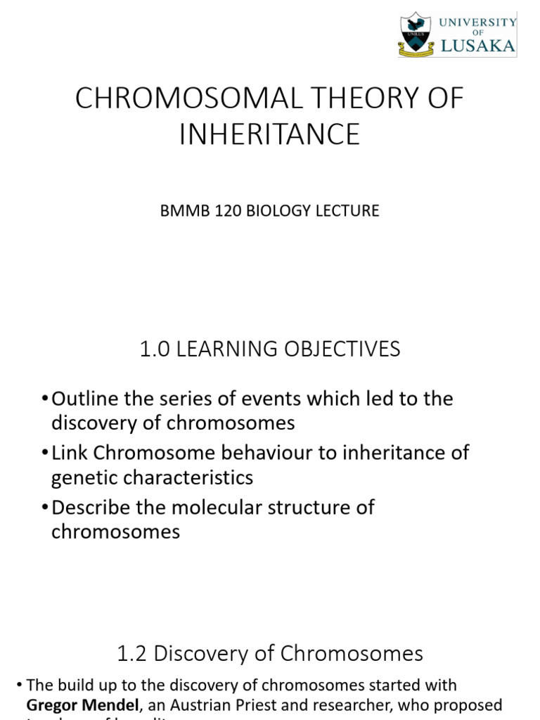 Bmmb 120 Lecture Chromosomal Theory Of Inheritance 111852 Pdf