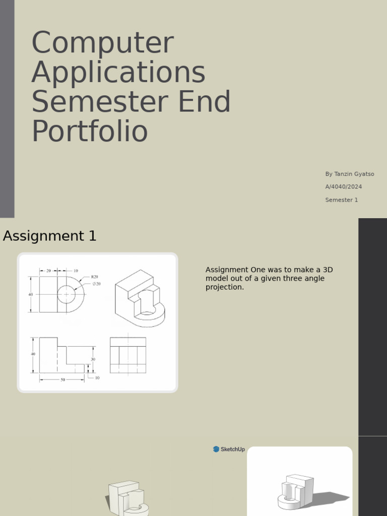 CA Portfolio by Tanzin | PDF
