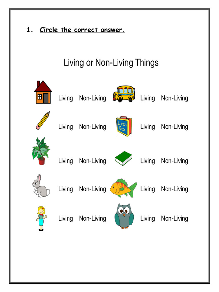 Grade 1 Natural Science Preparation Worksheets | PDF