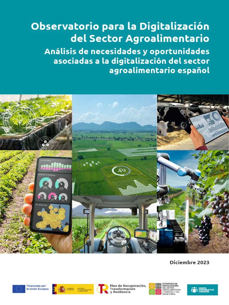 2023 Digitalizacion Delphi Tcm30 675997 | PDF | Agricultura | Cuestionario