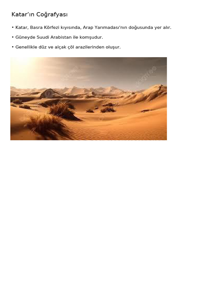 Katar Sunumu Gorselli | PDF